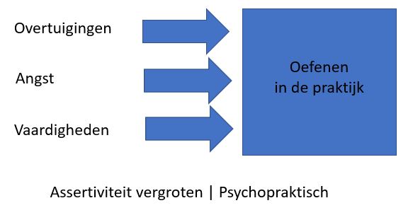 Assertiviteit en sociale onzekerheid, assertief gedrag | Psychopraktisch